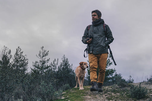 DEAR WOLF | Indagatio partnership